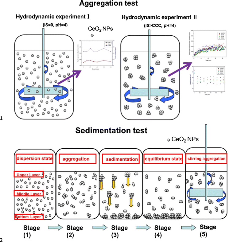 Influence of shear forces on the aggregation and sedimentation behavior ...