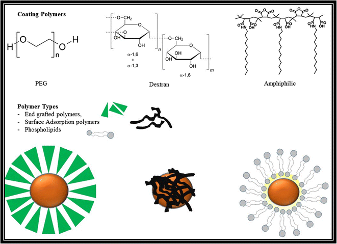 MRI based on iron oxide nanoparticles contrast agents: effect of ...