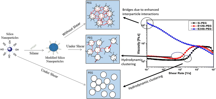 Dynamic shear rheology of colloidal suspensions of surface-modified ...