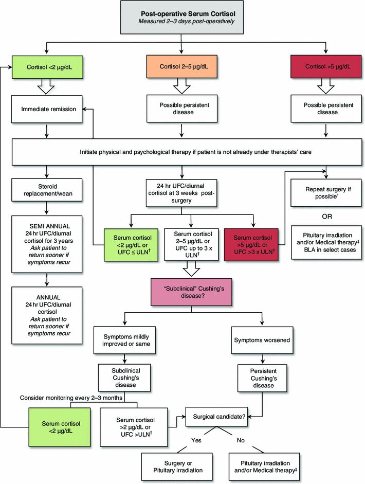 Detection of recurrent Cushing’s disease: proposal for standardized ...