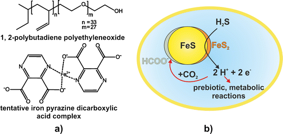 Polymersomes Containing Iron Sulfide (FeS) as Primordial Cell Model ...