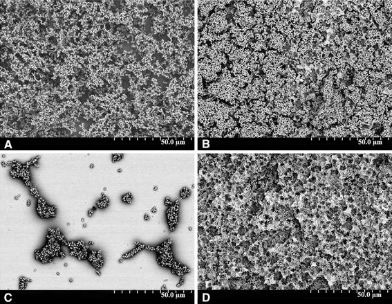 Plasma Surface Modification of Biomedical Polymers: Influence on Cell ...