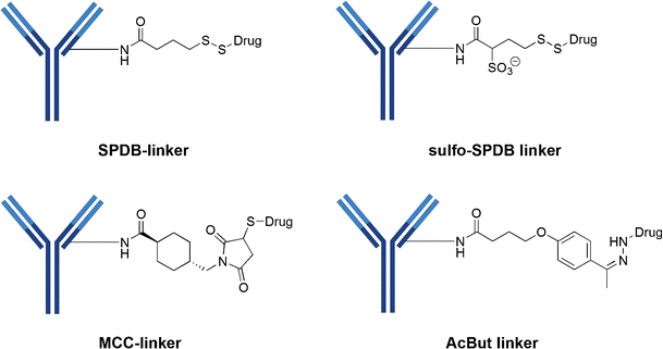 Current ADC Linker Chemistry | SpringerLink