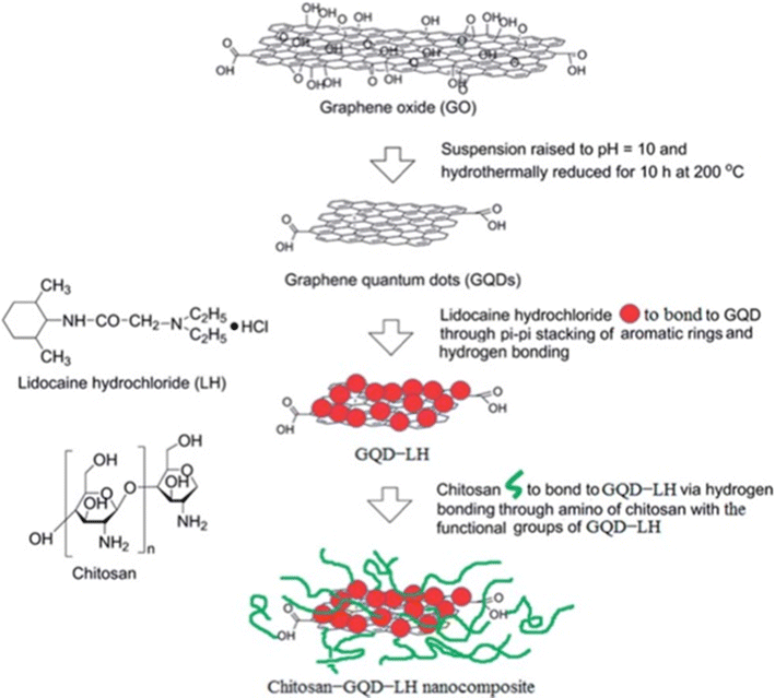 Graphene Quantum Dots for Theranostics and Bioimaging | SpringerLink