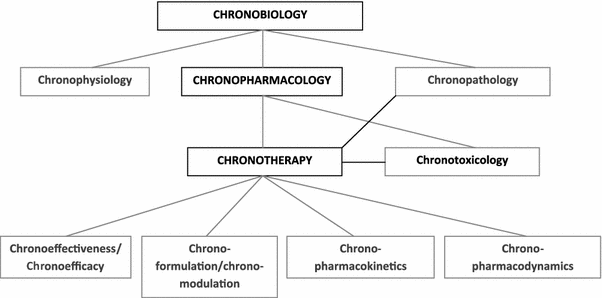 Timing is important in medication administration: a timely review of ...