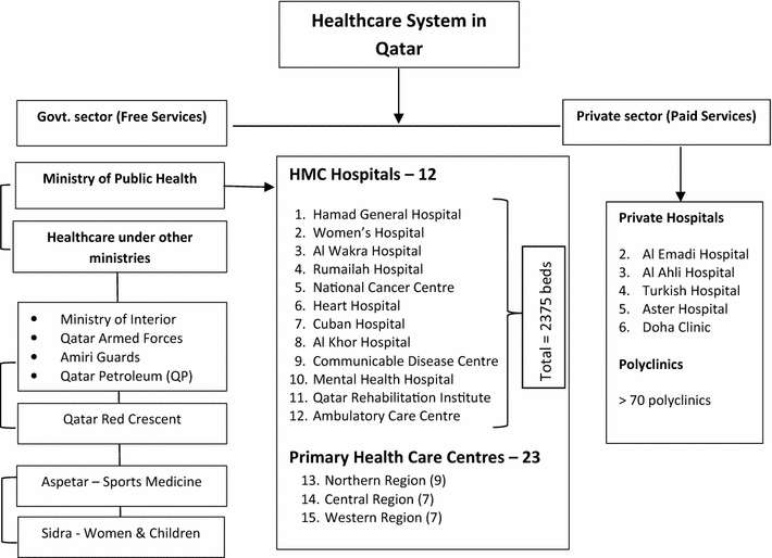 Overview of pharmacovigilance practices at the largest academic ...