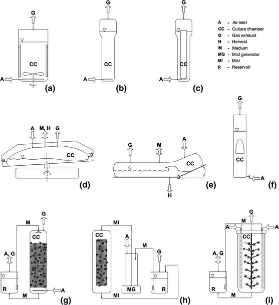 Design of bioreactors suitable for plant cell and tissue cultures ...