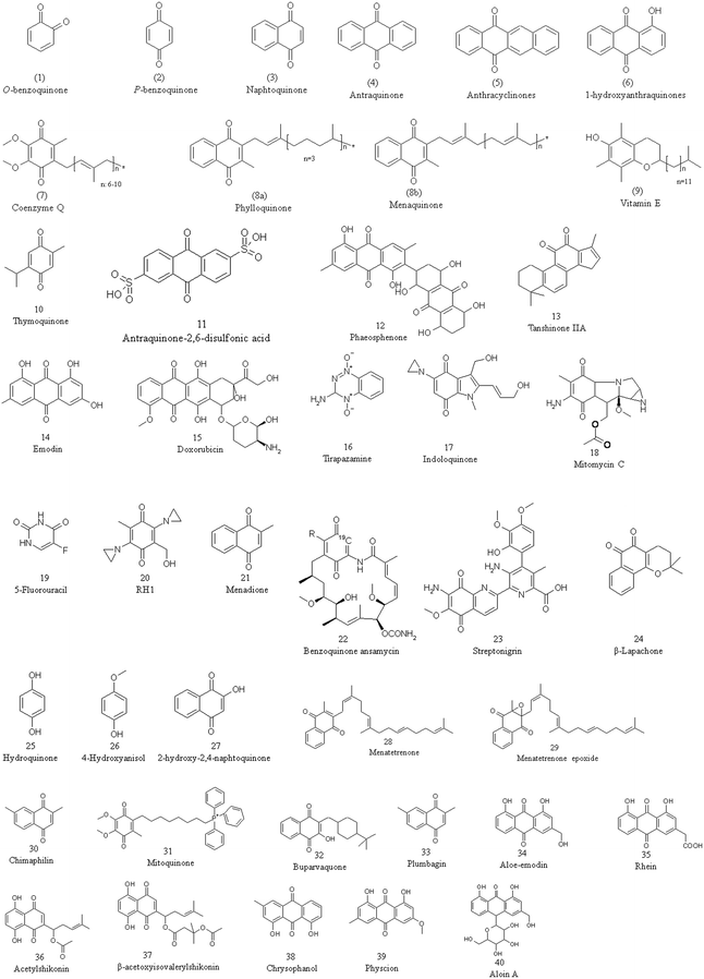 The chemical and biological activities of quinones: overview and ...
