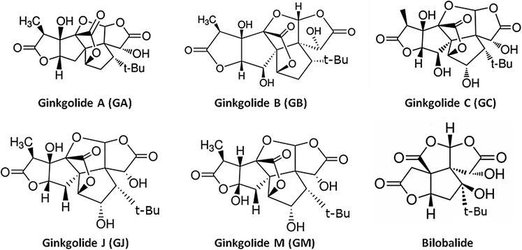 Biotechnological approaches to enhance the biosynthesis of ginkgolides ...