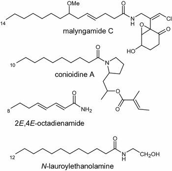 Alkamides: a critical reconsideration of a multifunctional class of ...