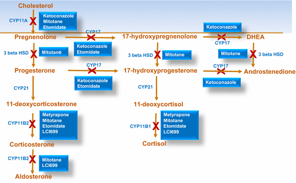 Medical combination therapies in Cushing’s disease | SpringerLink