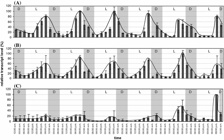 SAM levels, gene expression of SAM synthetase, methionine synthase and ...