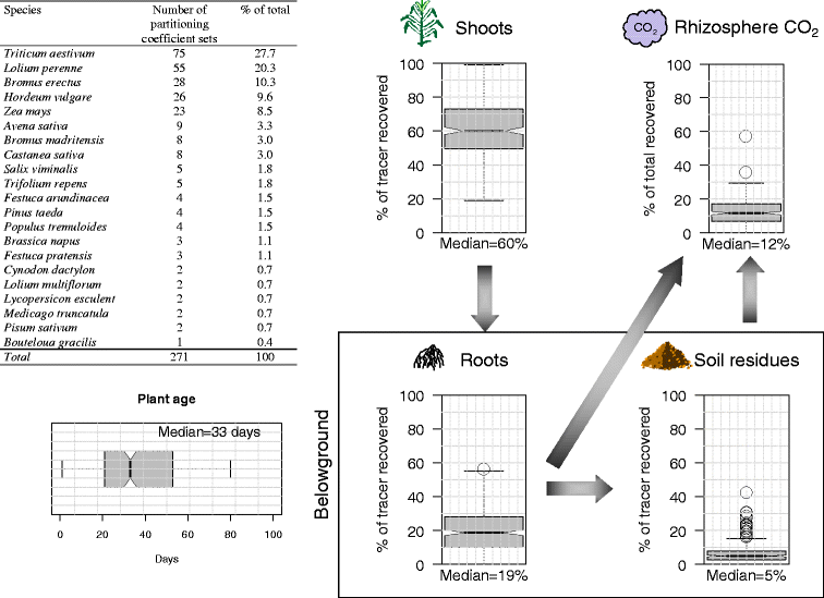 Carbon flow in the rhizosphere: carbon trading at the soil–root ...