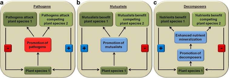 Aboveground–belowground interactions as a source of complementarity ...