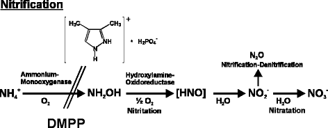 The nitrification inhibitor 3,4-dimethylpyrazole-phosphat (DMPP ...