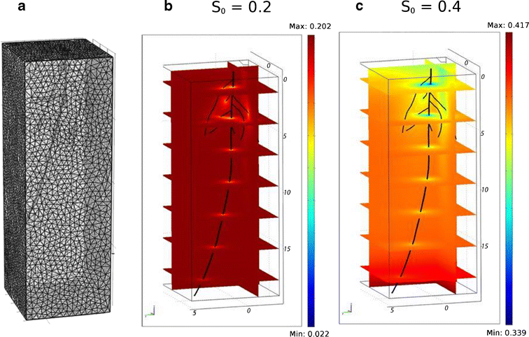 Modelling root–soil interactions using three–dimensional models of root ...