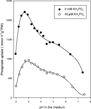 The effects of pH on phosphate uptake from the soil | SpringerLink