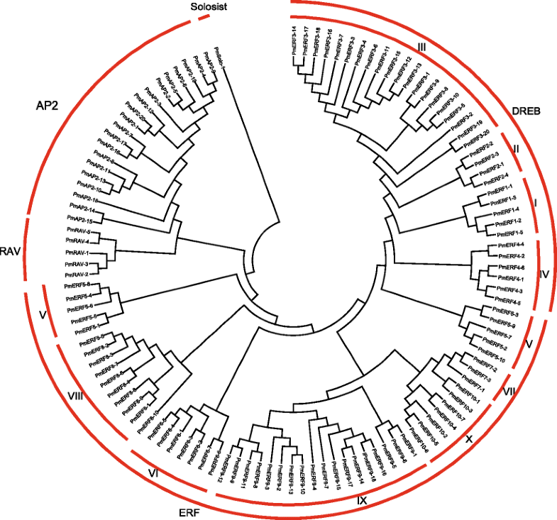 Genome-Wide Analysis of the AP2/ERF Gene Family in Prunus mume ...