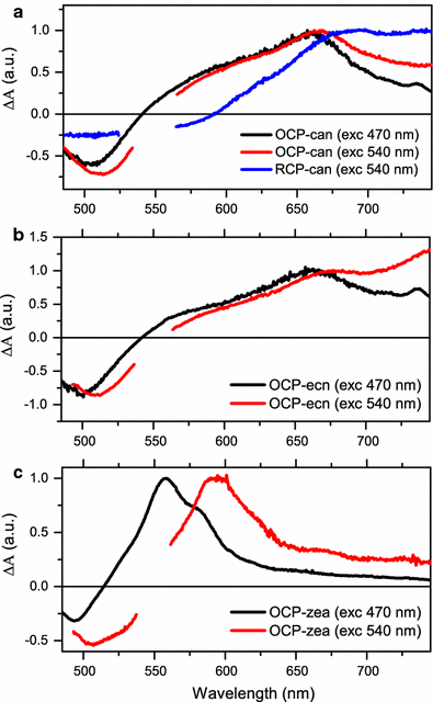 Ultrafast spectroscopy tracks carotenoid configurations in the orange ...
