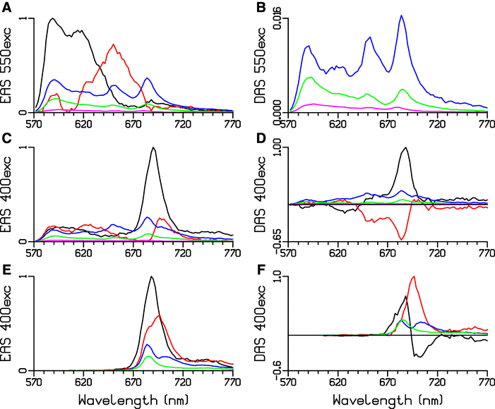 Energy transfer and trapping in Synechococcus WH 7803 | SpringerLink