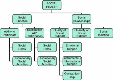 Measuring social health in the patient-reported outcomes measurement ...