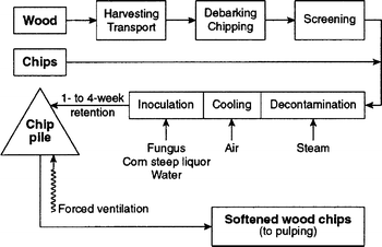 Biopulping of lignocellulosic material using different fungal species ...