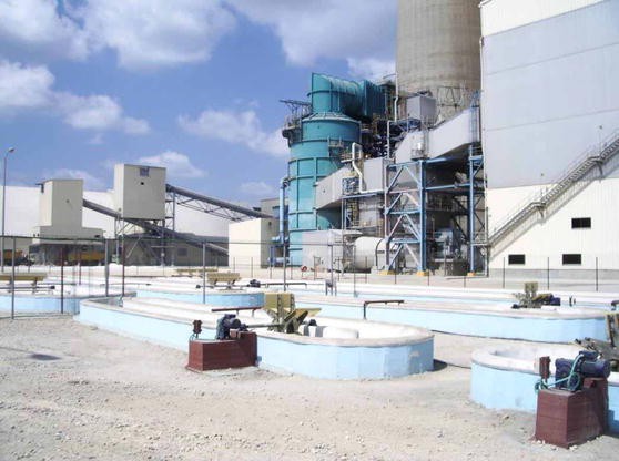 Commercial application of microalgae other than as biofuels: a brief ...