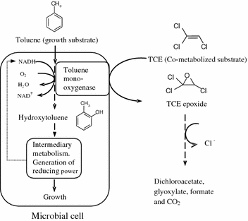 Cometabolism of trichloroethylene: concepts, limitations and available ...