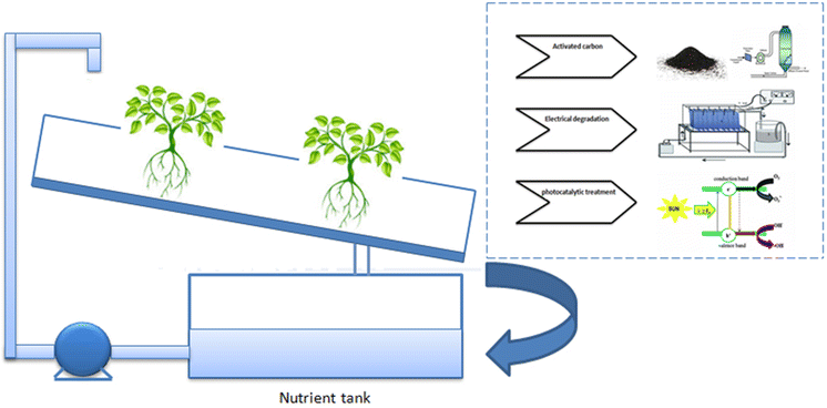 Closed hydroponic systems: operational parameters, root exudates ...