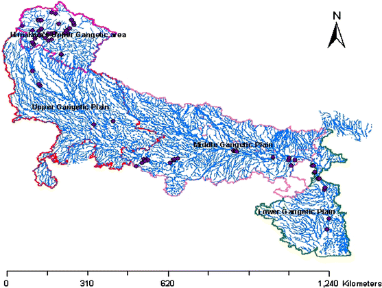 Freshwater fish biodiversity in the River Ganga (India): changing ...