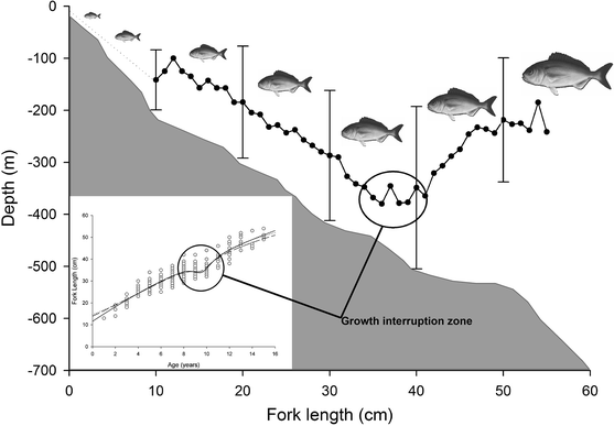 Modelling growth in fish with complex life histories | SpringerLink