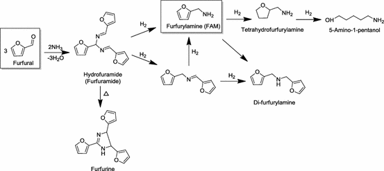 Reductive amination of furfural toward furfurylamine with aqueous ...