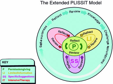The Extended PLISSIT Model for Addressing the Sexual Wellbeing of ...