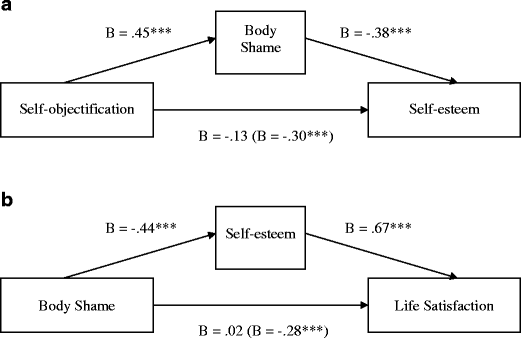Self-objectification and Well-being: The Impact of Self-objectification ...