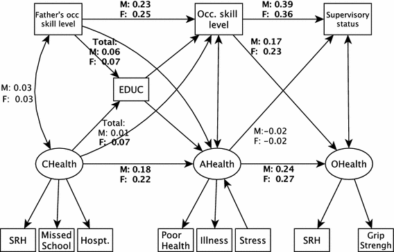 Social Causation Versus Health Selection in the Life Course: Does Their ...
