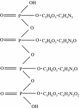 The tetranucleotide hypothesis: a centennial | SpringerLink