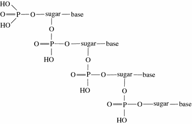 The tetranucleotide hypothesis: a centennial | SpringerLink