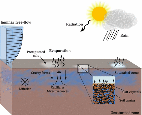 Free-Flow–Porous-Media Coupling for Evaporation-Driven Transport and ...