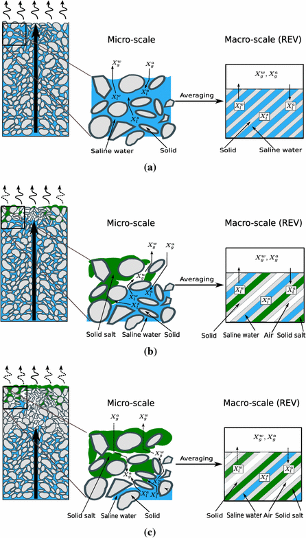 Free-Flow–Porous-Media Coupling for Evaporation-Driven Transport and Precipitation of Salt in ...