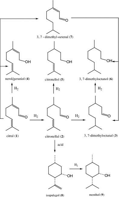 Bifunctional Nanoscopic Catalysts for the One-Pot Synthesis of (± ...