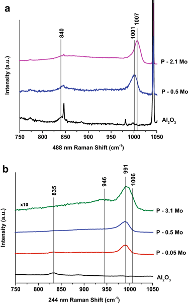 Multiwavelength Raman Spectroscopic Characterization of Alumina ...