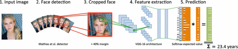 Deep Expectation of Real and Apparent Age from a Single Image Without Facial Landmarks ...