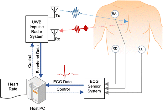 Novel Heart Rate Detection Method Using UWB Impulse Radar | SpringerLink