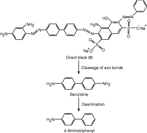 Biodegradation of Synthetic Dyes—A Review | SpringerLink