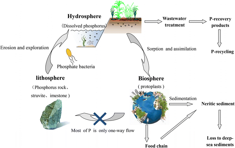 A Comprehensive Review of the Available Media and Approaches for ...