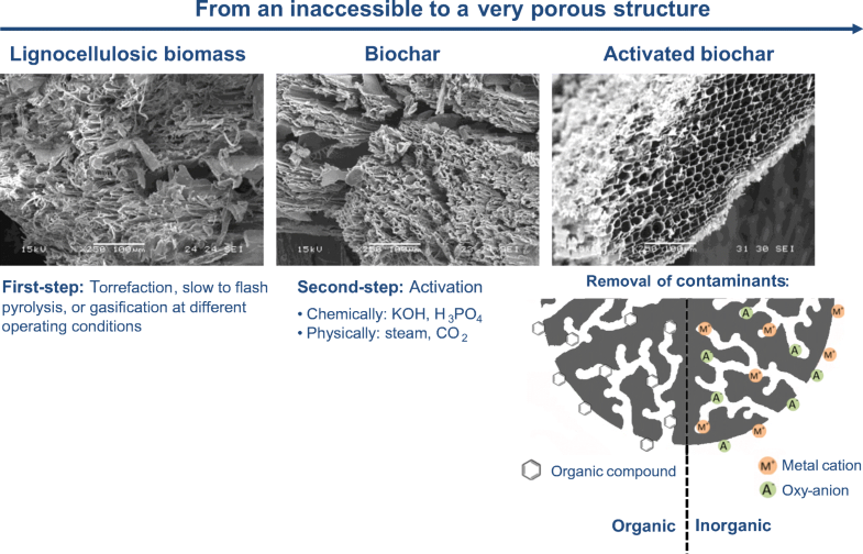 Activated Biochar as an Effective Sorbent for Organic and Inorganic ...