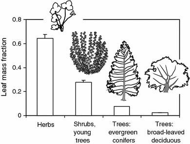A review of light interception in plant stands from leaf to canopy in ...