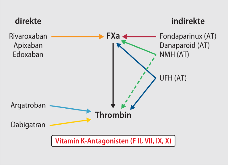 Antikoagulation und antithrombozytäre Therapie | SpringerLink