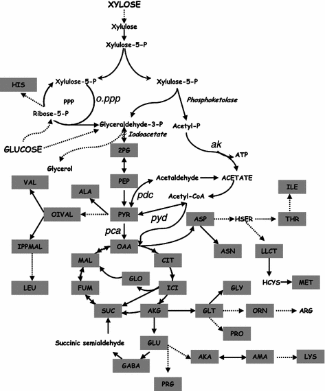Monitoring novel metabolic pathways using metabolomics and machine ...