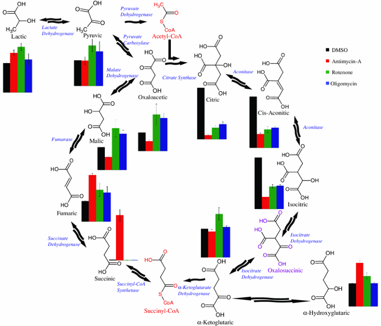 The complete targeted profile of the organic acid intermediates of the ...